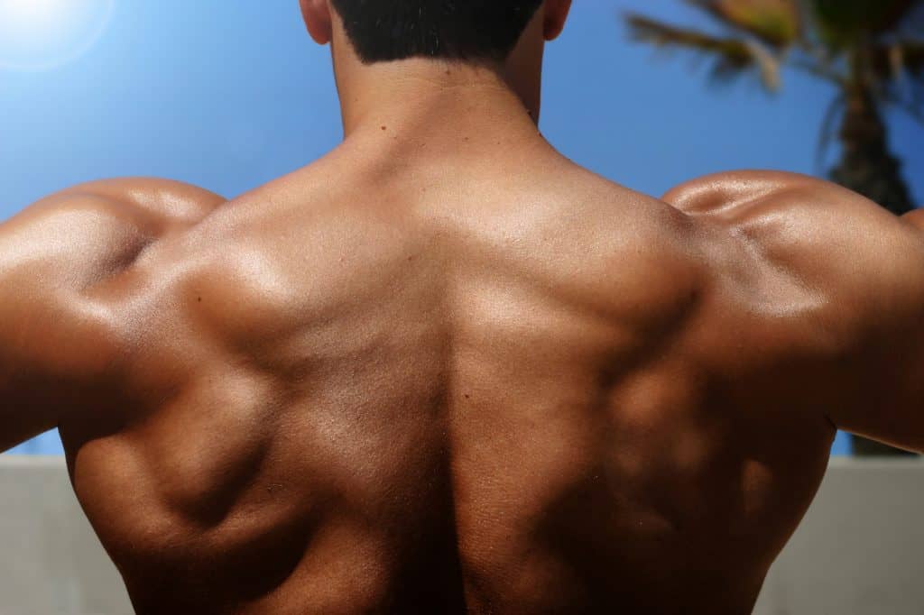 What Muscles Does Kayaking Work? 6+ Muscles That Keep You Paddling Forward