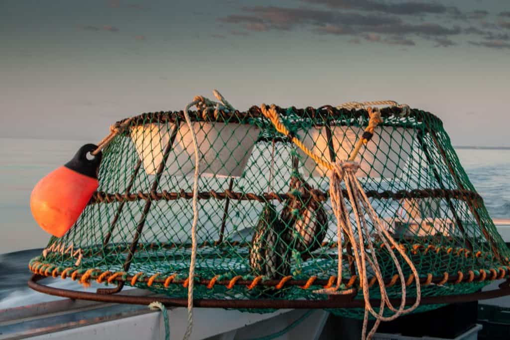 Best Ducky Kayak: 2020's Top 8 Inflatable Adventure-Ready Duckies