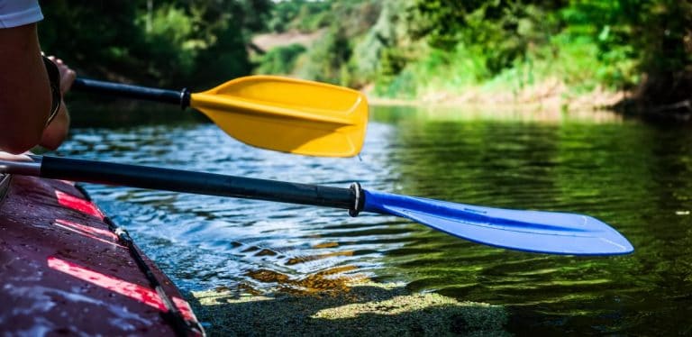 Paddle Vs Oar: The Difference Between Oar And Paddle Explained