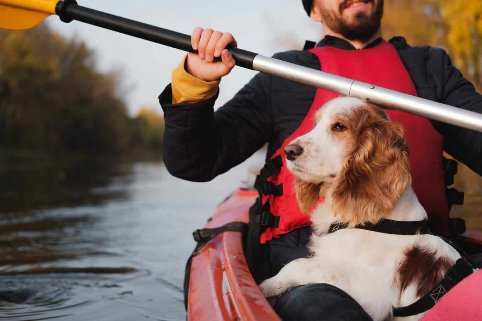 The Best Kayak For Dogs: Choose One That You And Your Pup Will Love