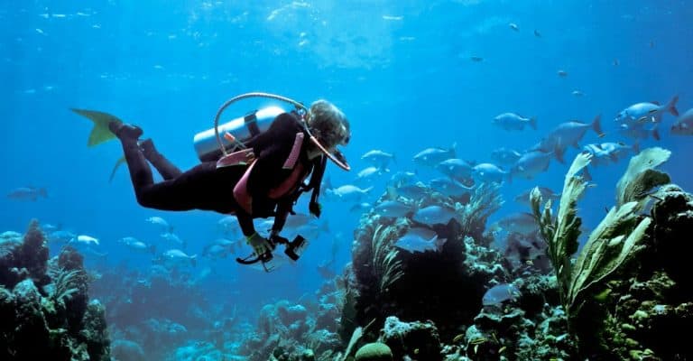 30 Different Types Of Water Sports And Water Activities You Must Try ...
